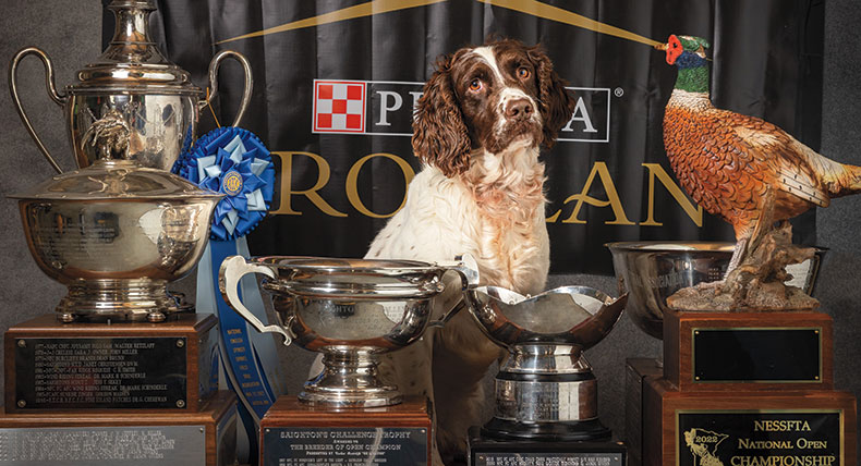 Major Sponsor Spotlight: Michael Nolan | Ducks Unlimited