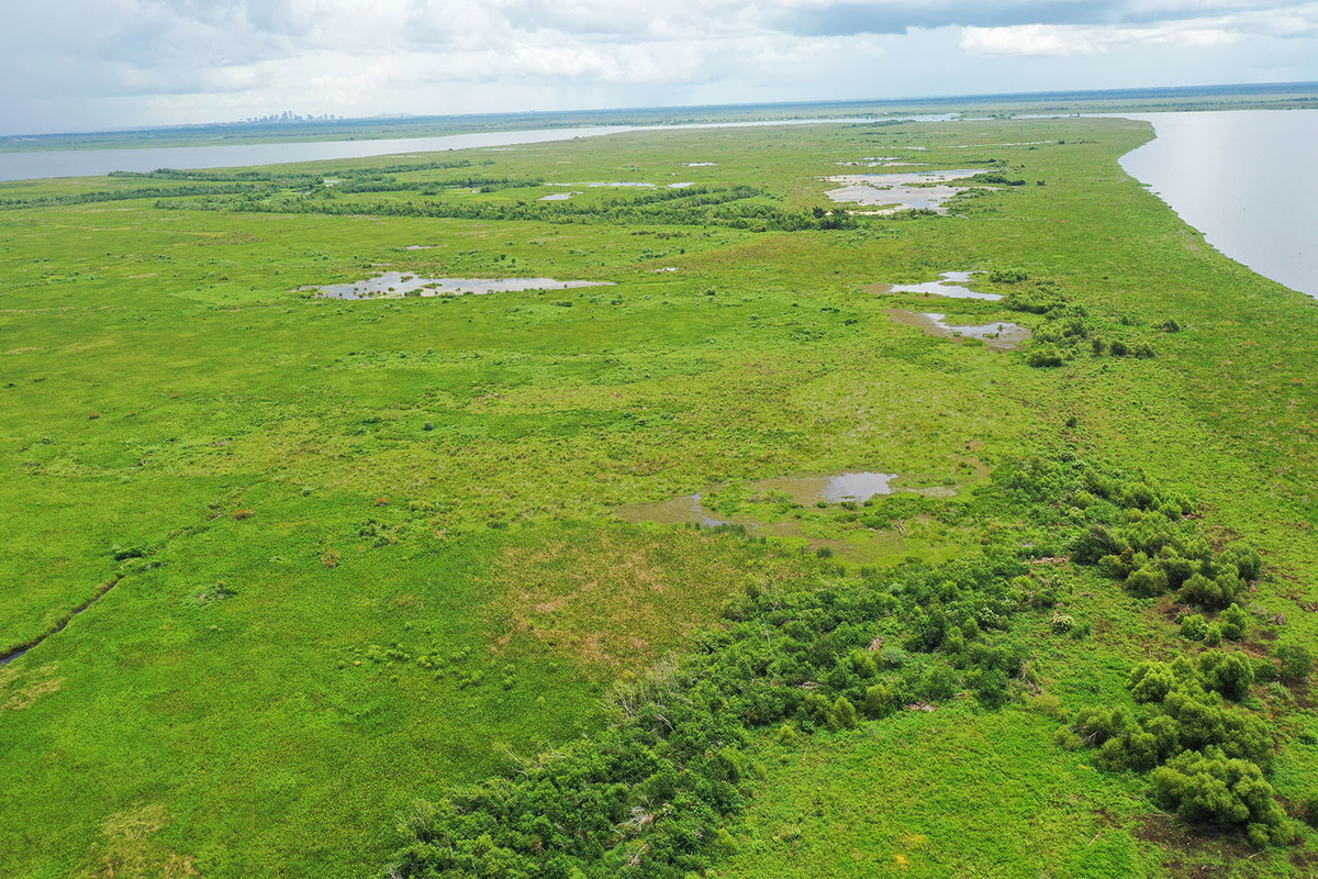 Timken Wildlife Management Area permanently secured for public ...