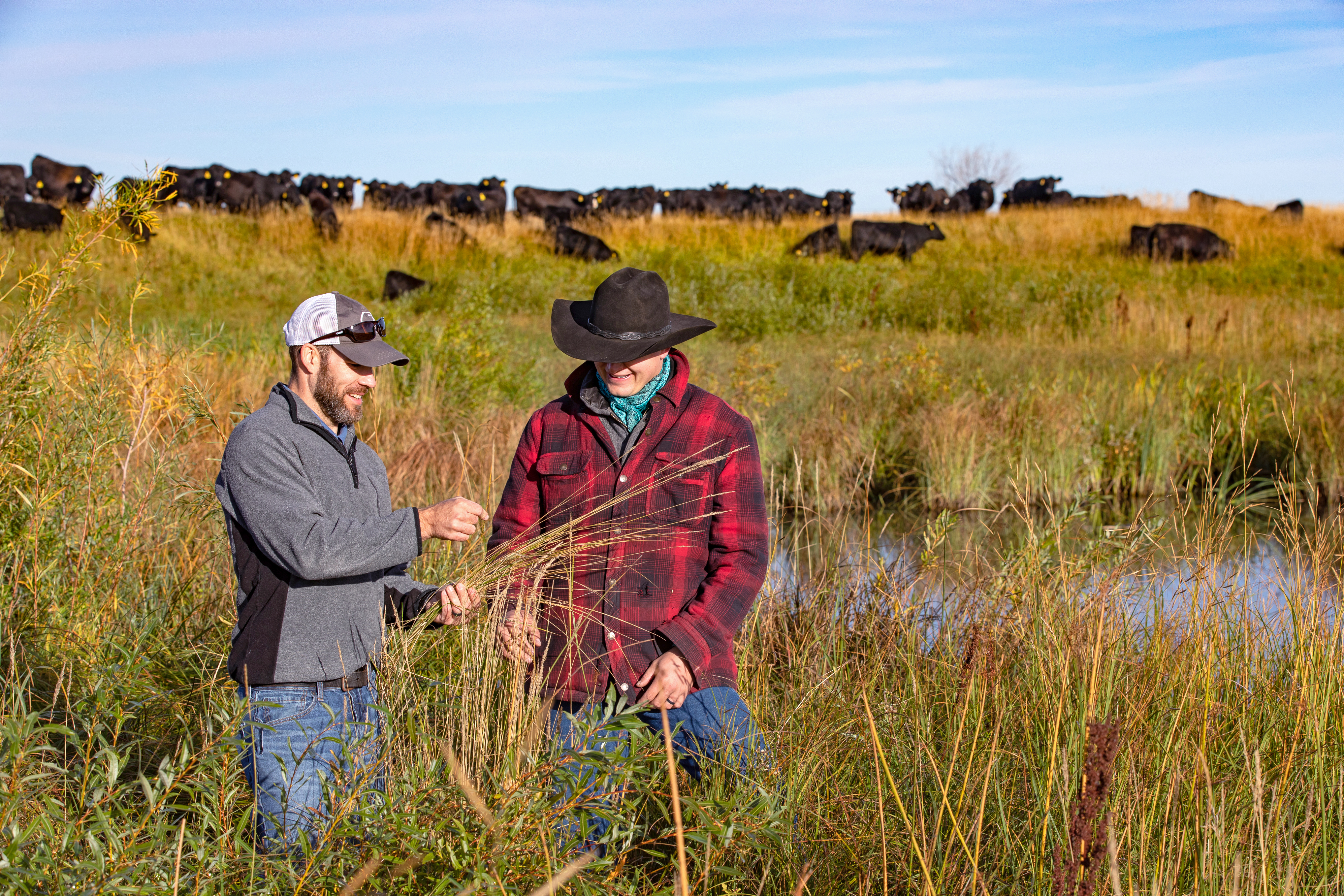 Ducks Unlimited's North Dakota Conservation Programs | Ducks Unlimited