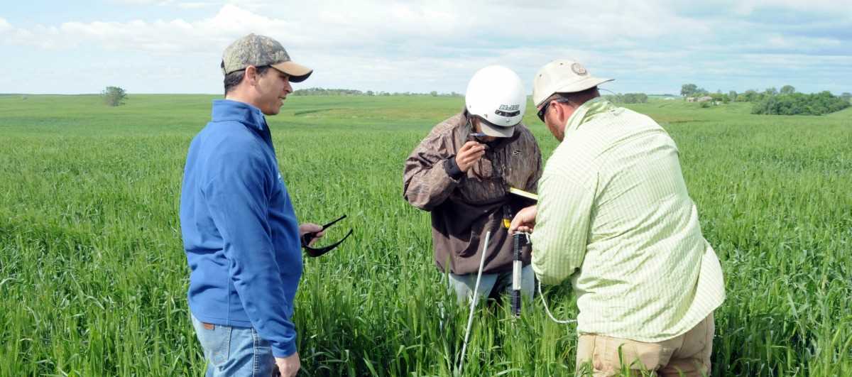 Contact Us | Ducks Unlimited