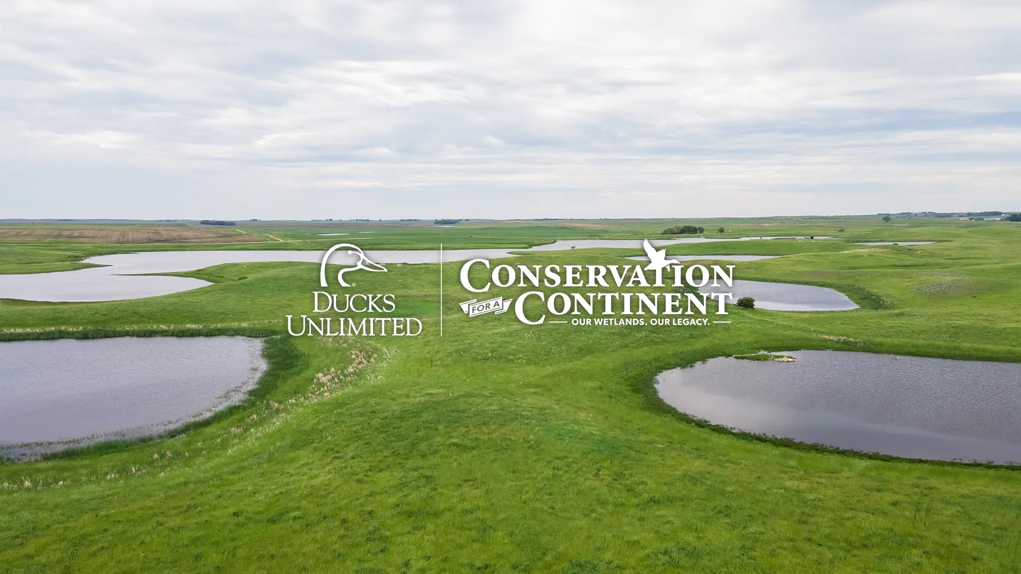 Home | Ducks Unlimited