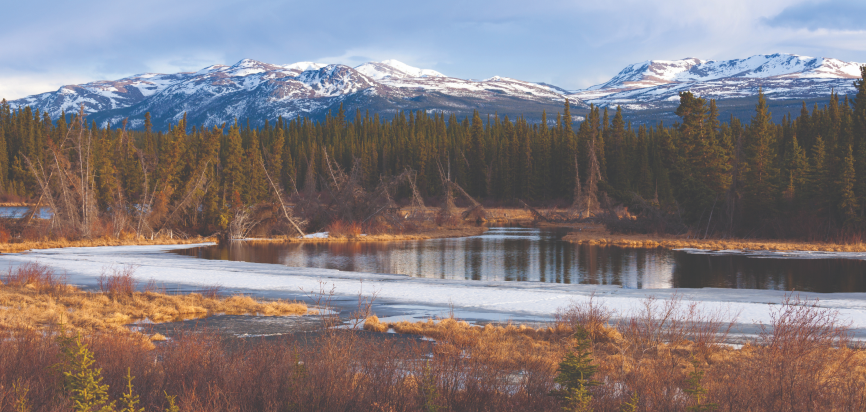 Get Involved | Ducks Unlimited