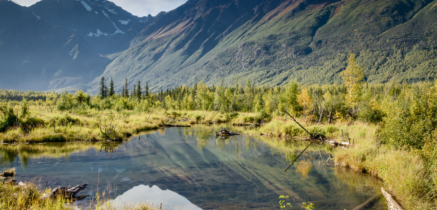 Media Tool Kit | Ducks Unlimited