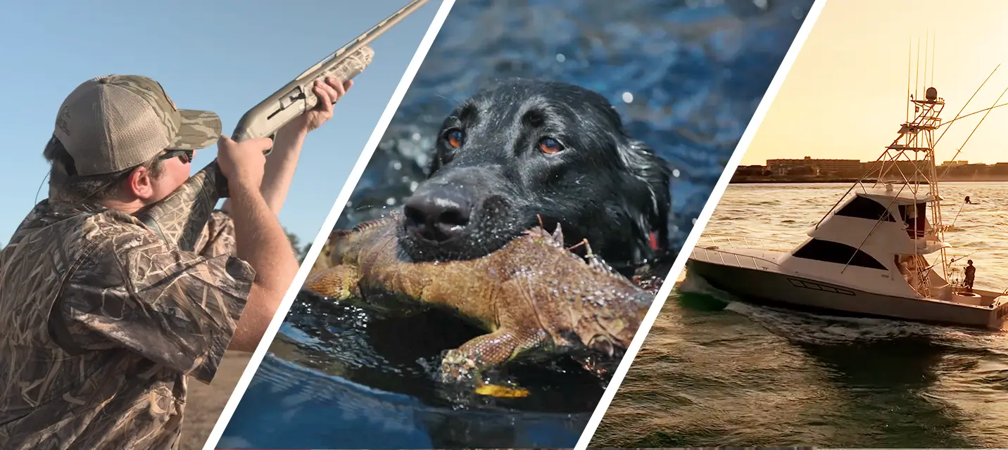 Media | Ducks Unlimited